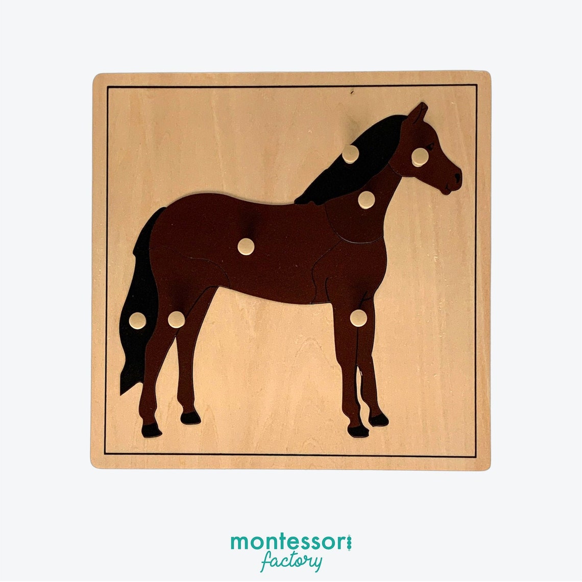 PARTS of a HORSE Montessori Wood Puzzle Biology Zoology - Etsy