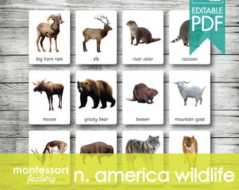 Montessori North America Wildlife 3 Parts Cards - Etsy