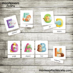 ANIMAL ALPHABET • Montessori Cards • Flash Cards • Three Part Cards ...