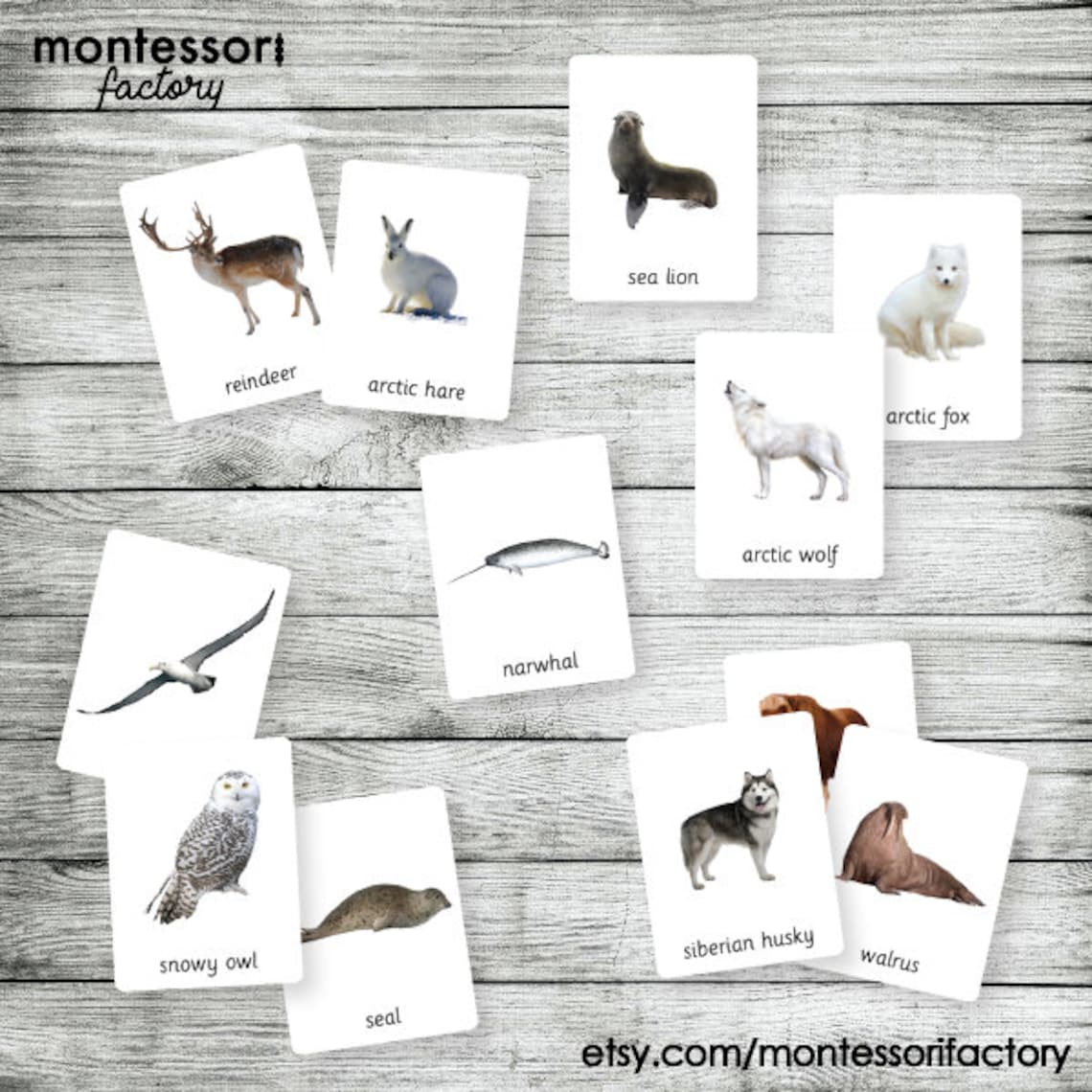 ARCTIC POLAR Animals Montessori Cards Flash Cards Three - Etsy