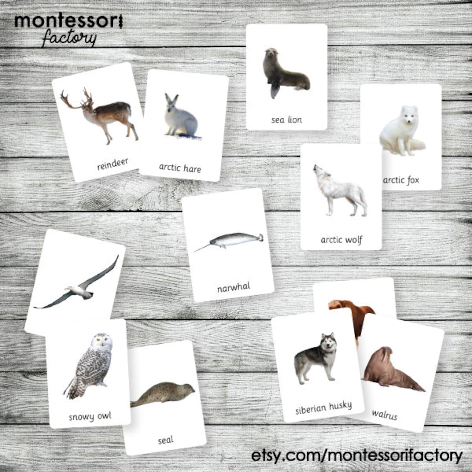 ARCTIC POLAR Animals Montessori Cards Flash Cards Three - Etsy