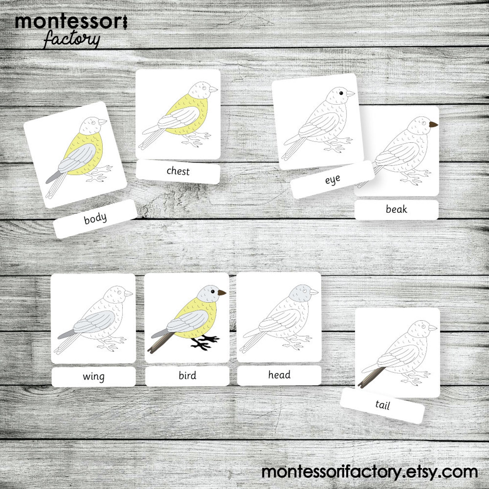 PARTS of a BIRD Montessori Cards Flash Cards Three Part Cards ...