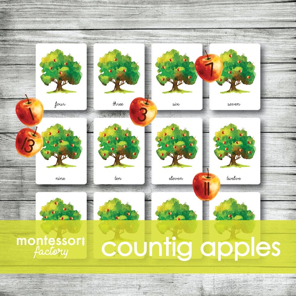 Counting Flash Cards - Etsy
