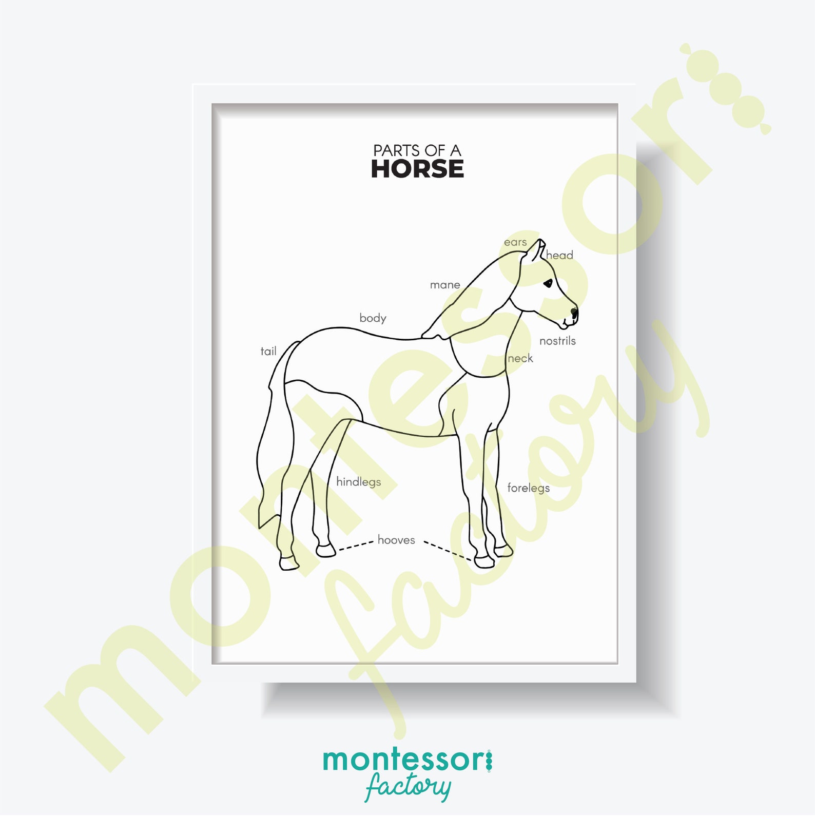 PARTS of a HORSE Science Kids Room Wall Art Decor Montessori ...