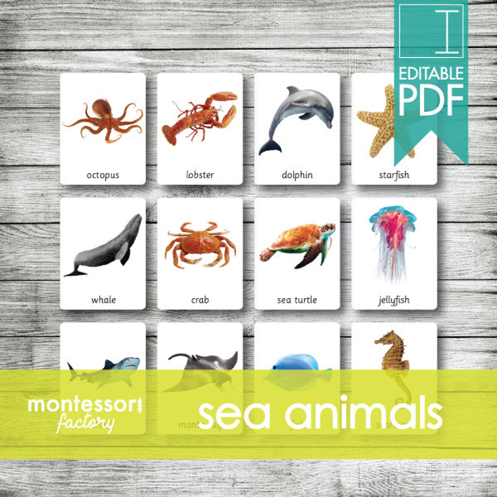 Sea Animals Montessori Nomenclature Cards (editable PDF) - Etsy