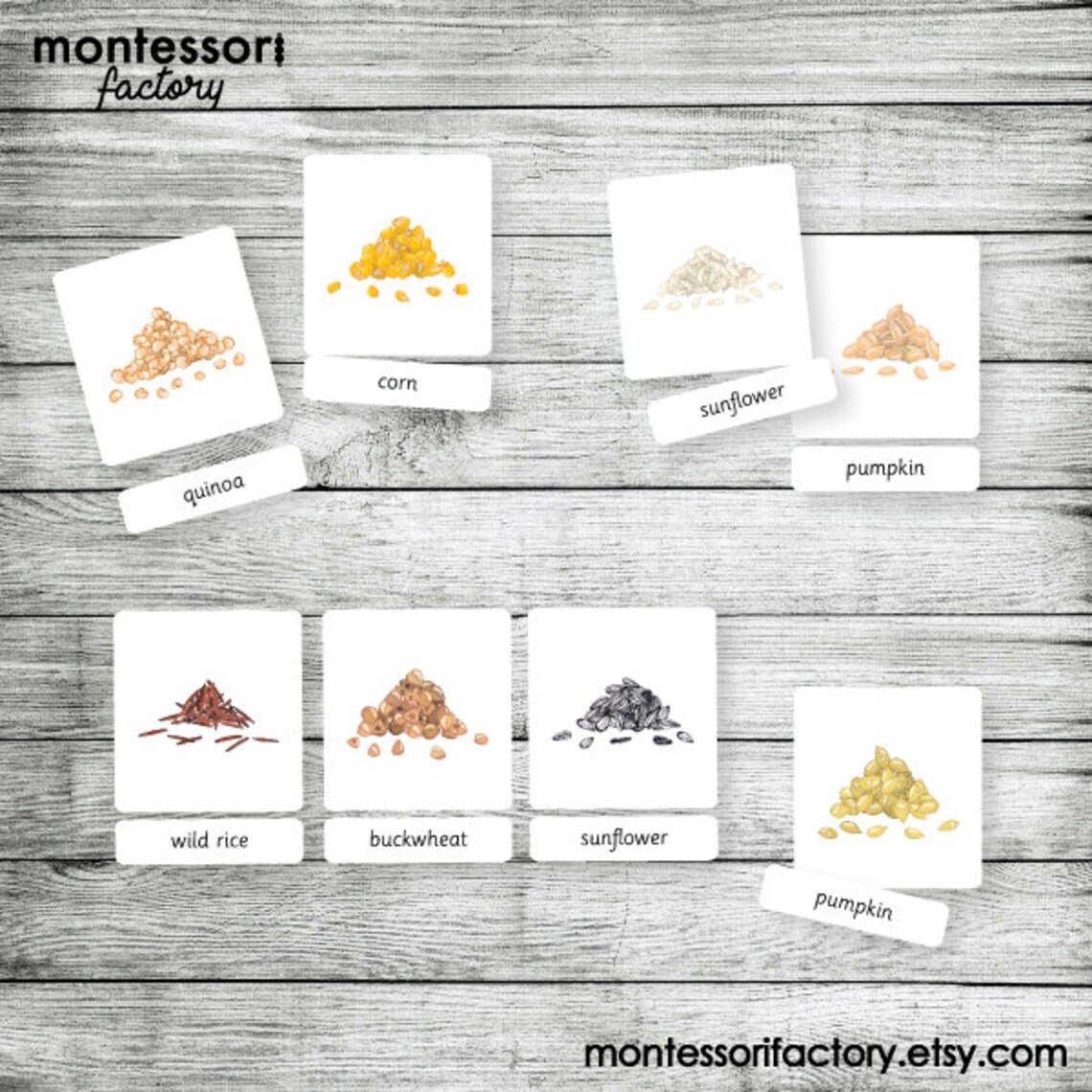 Cereal SEEDS and GRAINS Montessori Cards Flash Cards Three - Etsy