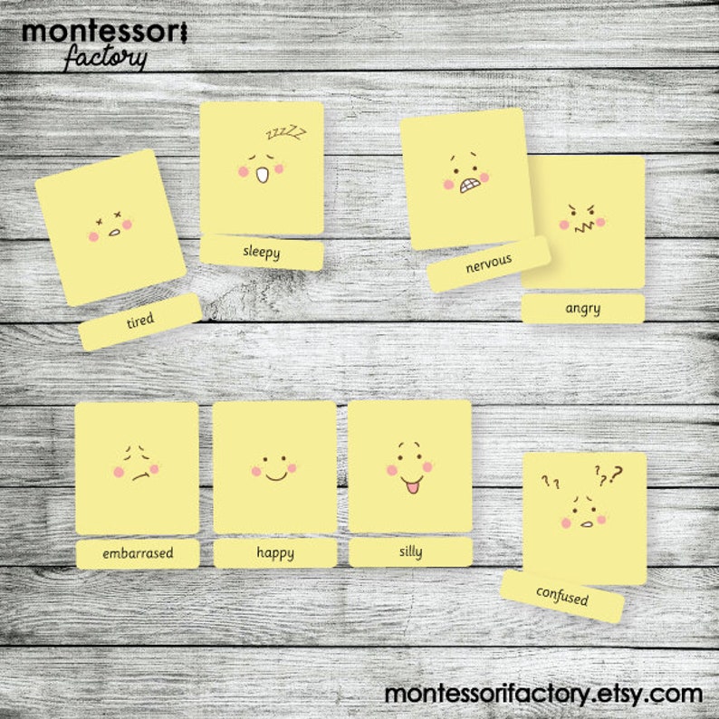 EMOTIONS FEELINGS Montessori Cards Flash Cards Three - Etsy