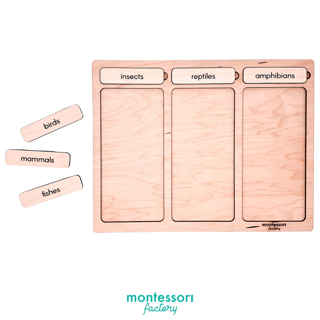 ANIMAL KINGDOMS • Birds, Fishes, Amphibians, Mammals, Reptiles, Insects ...