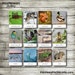 EUROPE ANIMALS Montessori Cards Flash Cards Three Part - Etsy