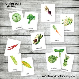VEGETABLES • Montessori Cards • Flash Cards • Three Part Cards ...