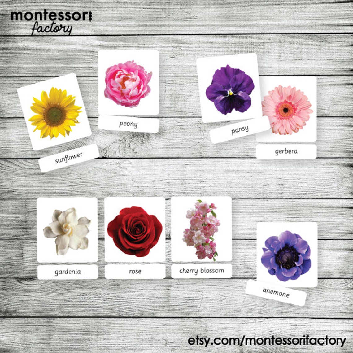 FLOWERS real Pictures Montessori Cards Flash Cards - Etsy