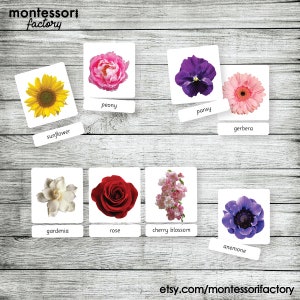 FLOWERS (real Pictures) • Montessori Cards • Flash Cards • Three Part ...