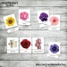 FLOWERS real Pictures Montessori Cards Flash Cards Three Part Cards ...