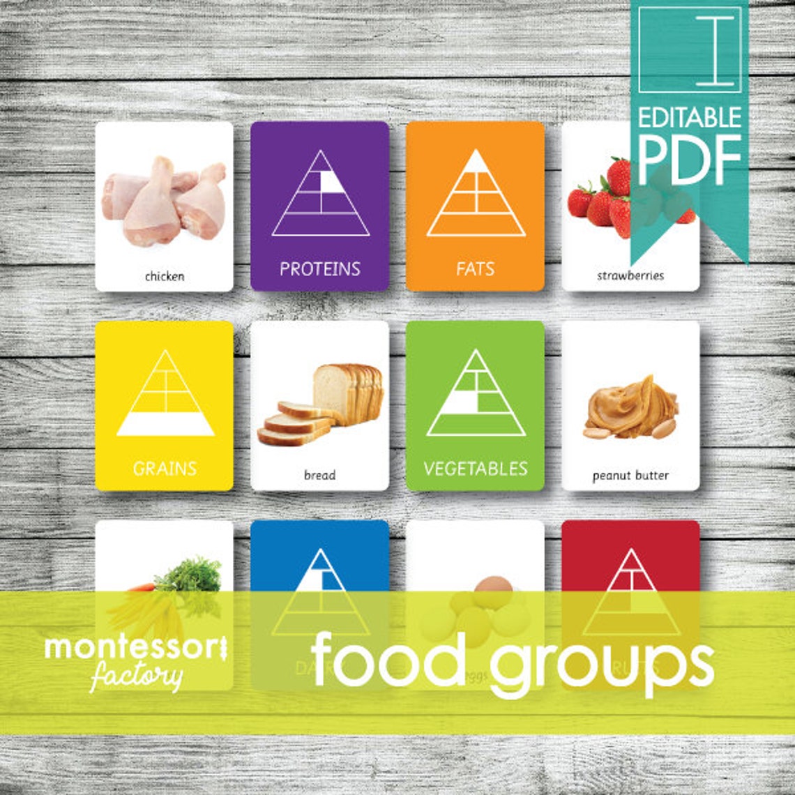 FOOD GROUPS Montessori Cards Flash Cards Sorting Cards - Etsy