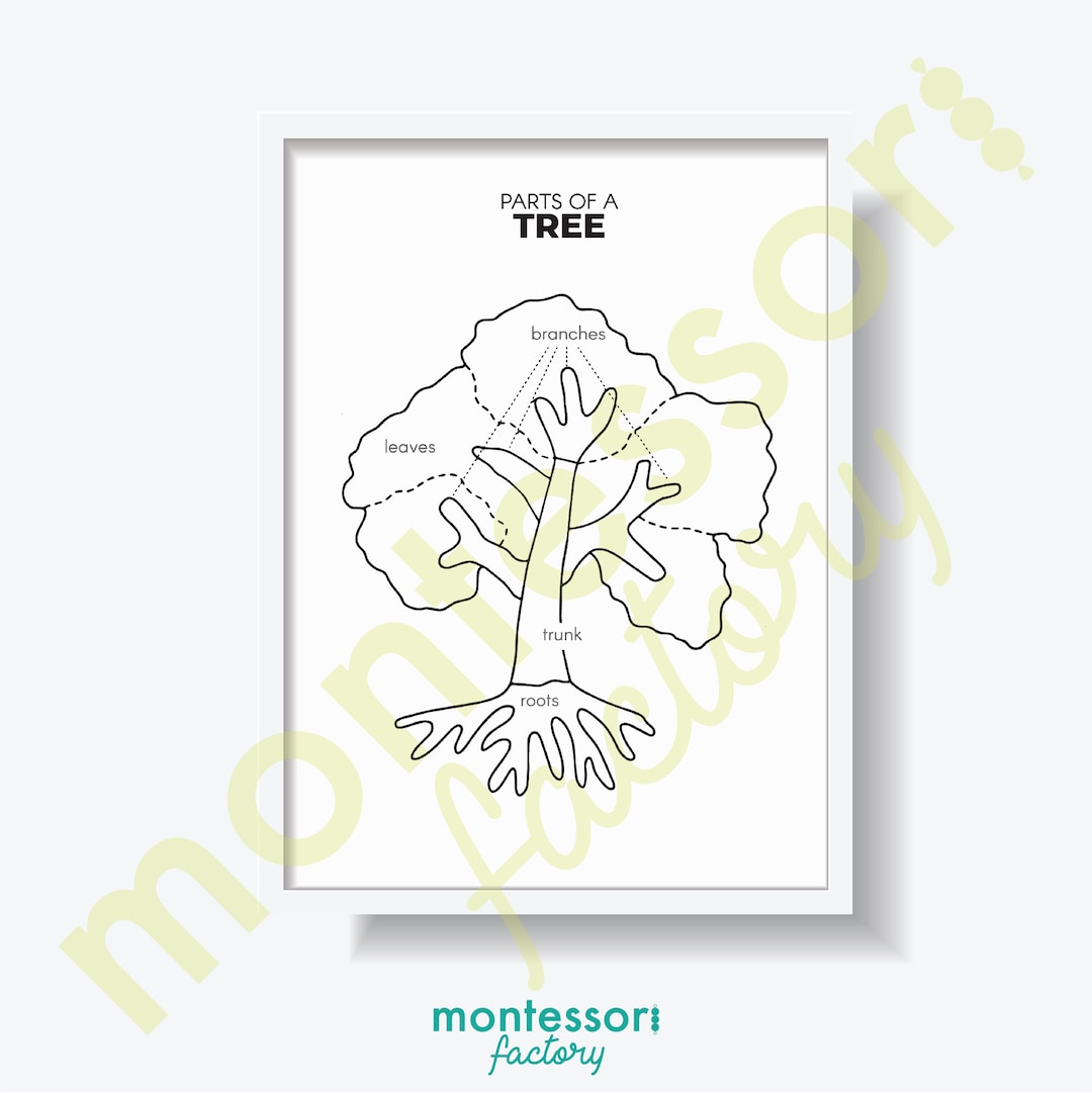 PARTS of a TREE Science Kids Room Wall Art Decor Montessori ...