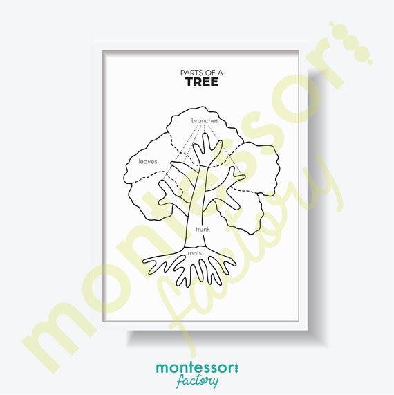 PARTS of a TREE Science Kids Room Wall Art Decor Montessori | Etsy