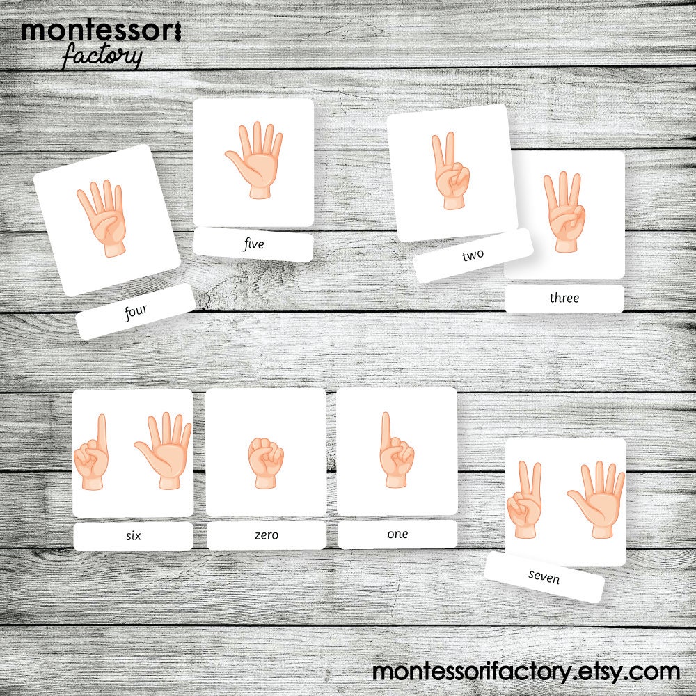 HAND COUNTING 0 to 10 Montessori Cards Flash Cards Three - Etsy