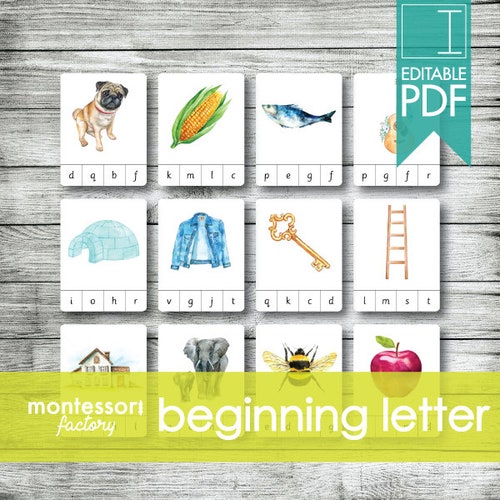 BEGINNING LETTER Sound Montessori Counting Cards Clip | Etsy