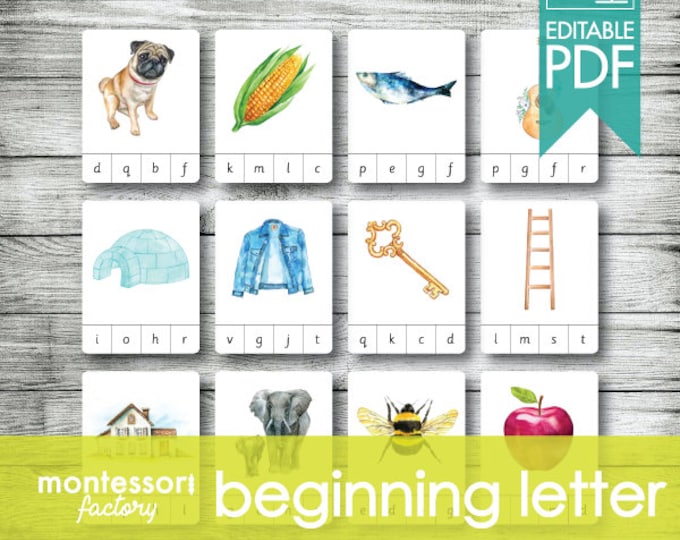 COUNTING INSECTS BUGS Numbers 1 to 20 • Montessori Counting Cards ...