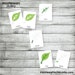 PARTS of a LEAF Montessori Cards Flash Cards Three Part Cards ...
