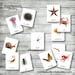 INVERTEBRATE ANIMALS Montessori Cards Flash (Download Now) - Etsy