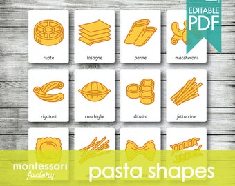 PINK SERIES Montessori Cards Flash Cards Three Part Cards - Etsy