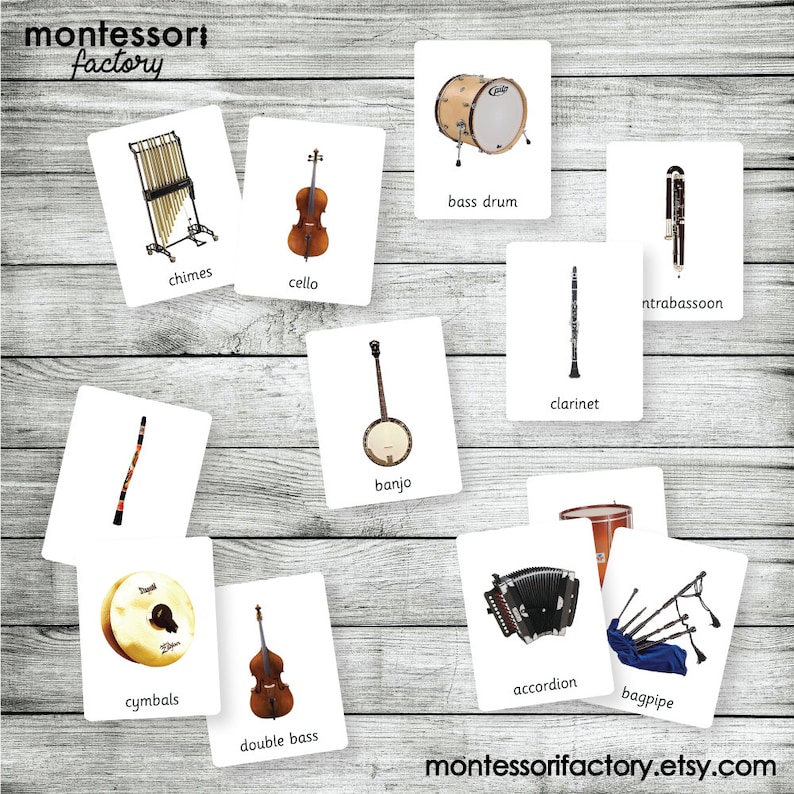 Musical Instruments Montessori Nomenclature Cards (editable PDF) - Etsy