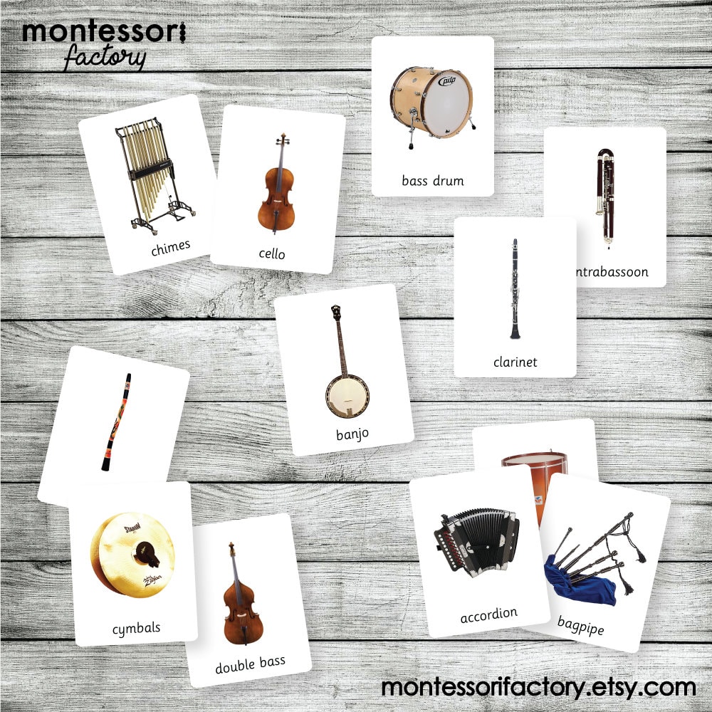 MUSICAL INSTRUMENTS Montessori Cards Flash Cards Three - Etsy