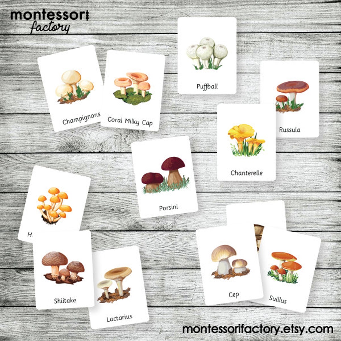 MUSHROOMS FUNGUS Montessori Cards Nomenclature Cards - Etsy