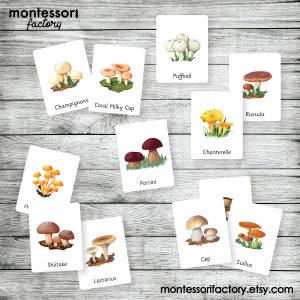 MUSHROOMS FUNGUS • Montessori Cards • Nomenclature Cards • Three Part ...