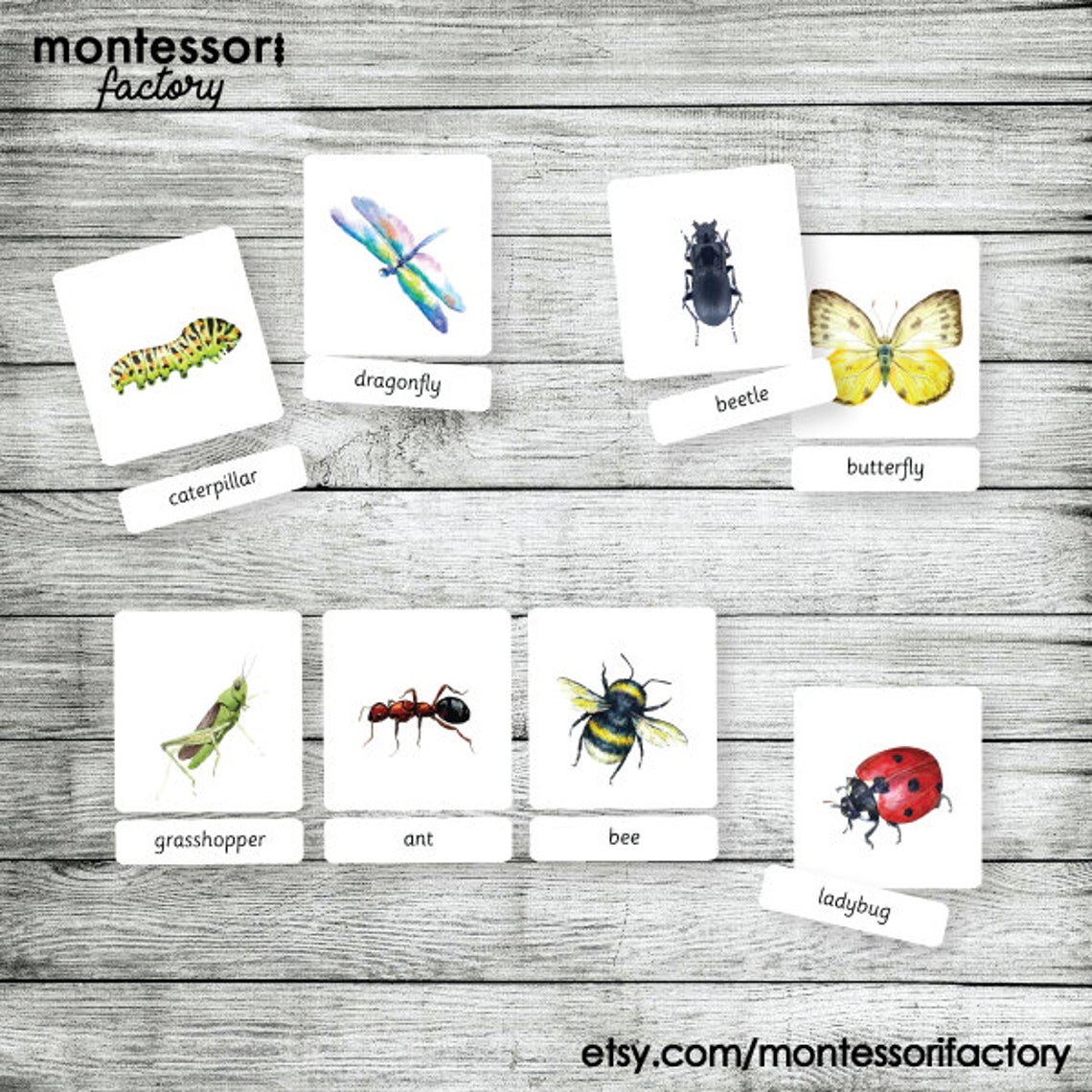 INSECTS BUGS Montessori Cards Flash Cards Three Part | Etsy