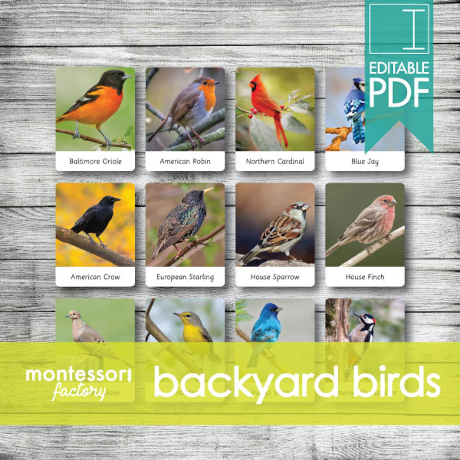 BACKYARD BIRDS Montessori Cards Flash Cards Three Part - Etsy