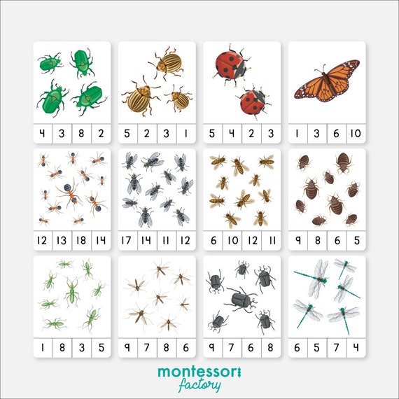 COUNTING INSECTS BUGS Numbers 1 to 20 Montessori Counting - Etsy UK