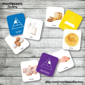 FOOD GROUPS Montessori Cards, Flash Cards, Sorting Cards, Matching ...