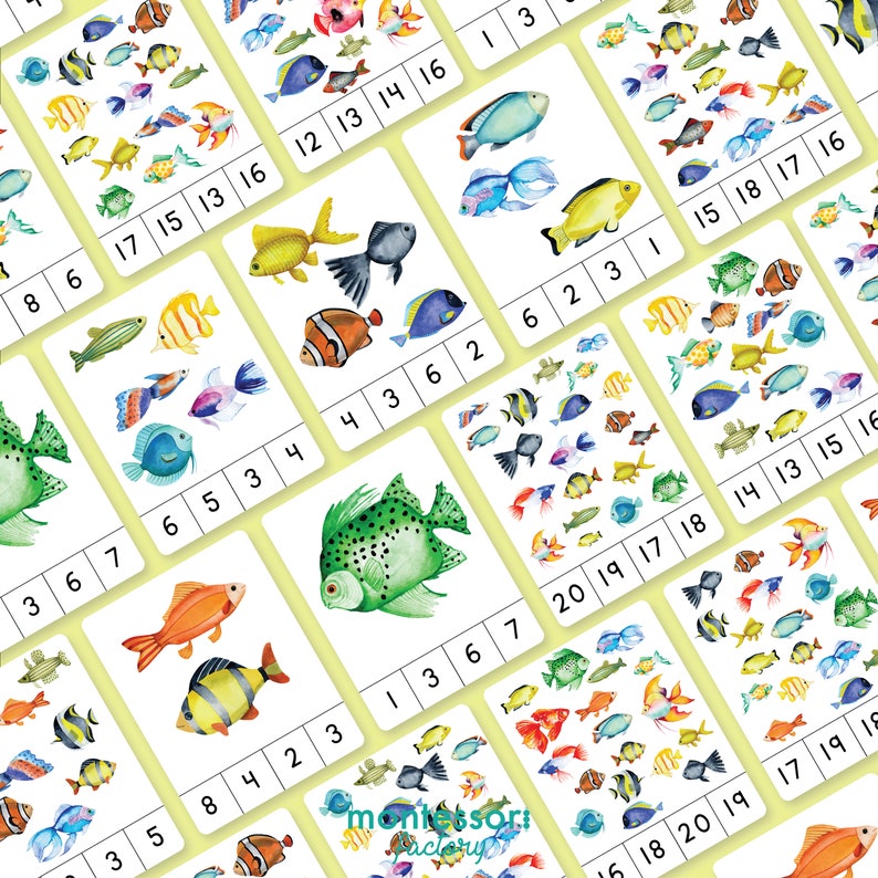 COUNTING FISHES Summer Montessori Counting Cards Clip - Etsy