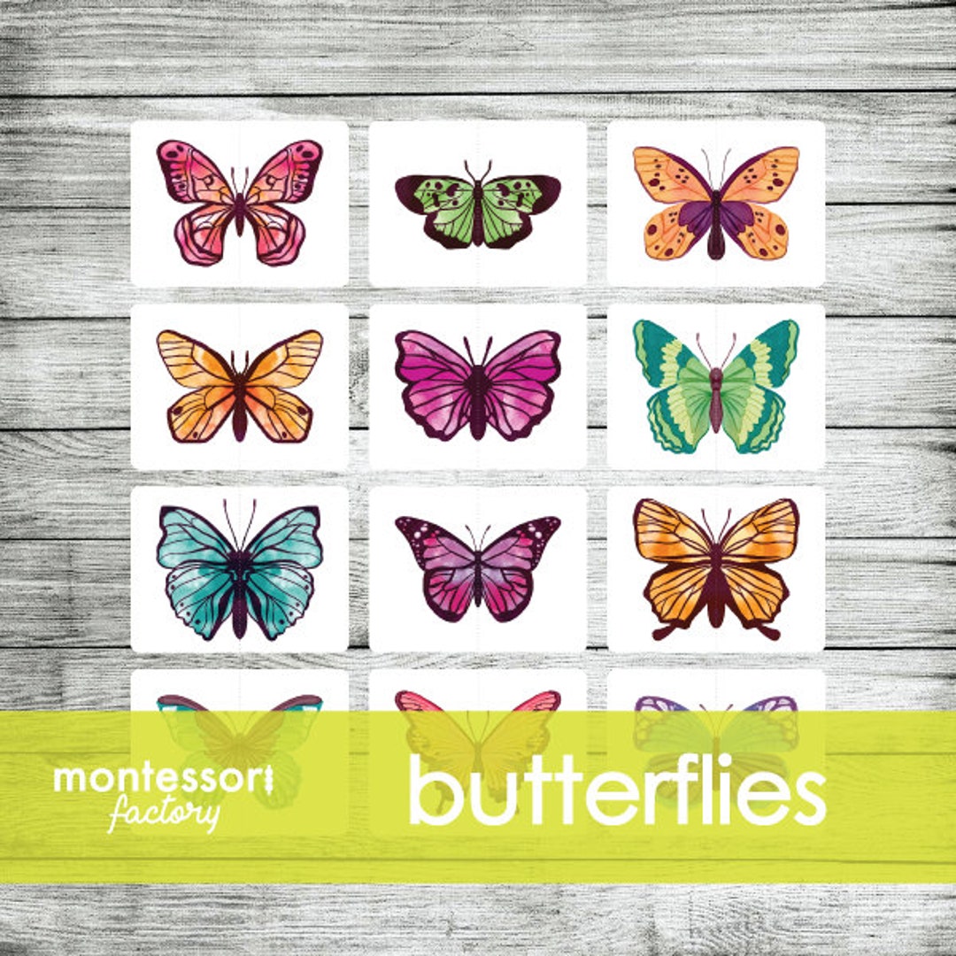 BUTTERFLIES SYMMETRY • Montessori Cards • Flash Cards • Sorting Cards ...