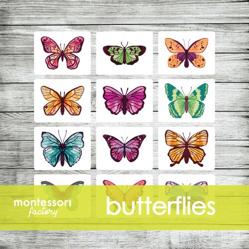 BUTTERFLIES SYMMETRY Montessori Cards Flash Cards - Etsy
