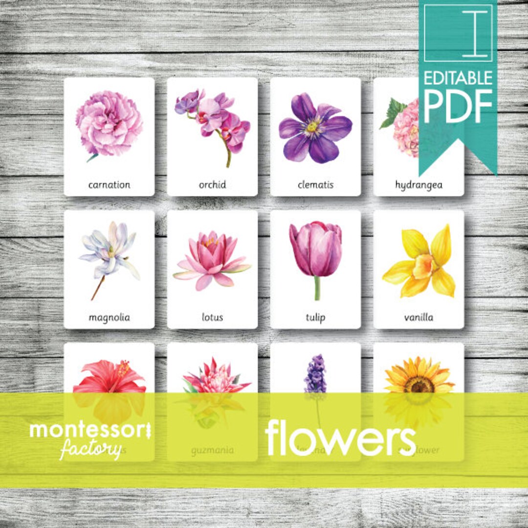 FLOWERS (BOTANY) • Montessori Cards • Flash Cards • Three Part Cards ...