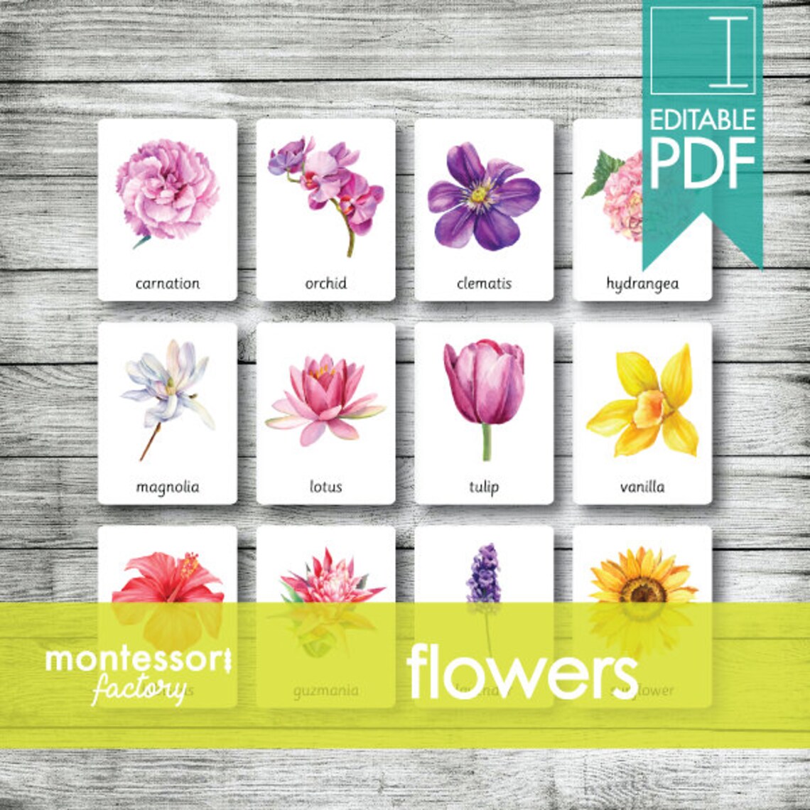 FLOWERS BOTANY Montessori Cards Flash Cards Three Part - Etsy