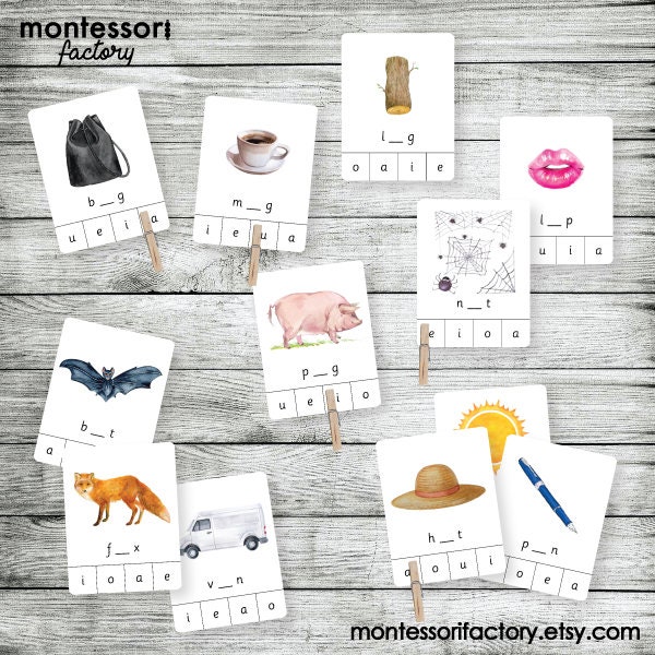 PINK SERIES Montessori Clip Cards Beginning Letter Flash - Etsy