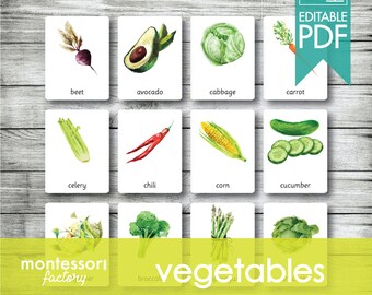 FRUITS GREEK Edition real Pictures 50 Greek and 50 English - Etsy