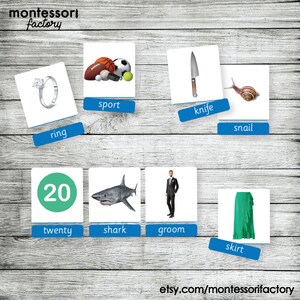 BLUE SERIES • Montessori Cards • Flash Cards • Three Part Cards ...