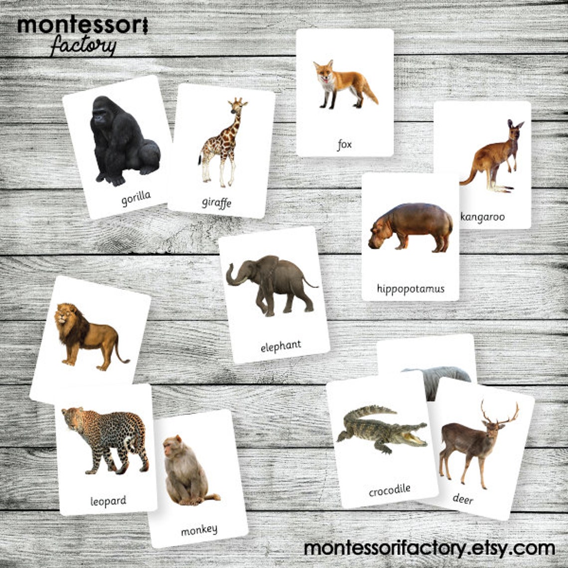 JUNGLE ANIMALS Montessori Cards Flash Cards Three Part - Etsy