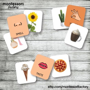 FIVE SENSES Montessori Cards, Flash Cards, Sorting Cards, Matching ...