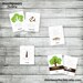 Montessori Parts of Tree Nomenclature Cards (editable PDF) - Etsy