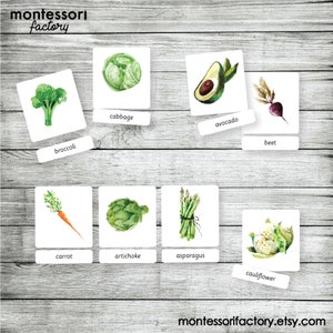 VEGETABLES • Montessori Cards • Flash Cards • Three Part Cards ...