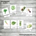 VEGETABLES Montessori Cards Flash Cards Three Part Cards Nomenclature ...