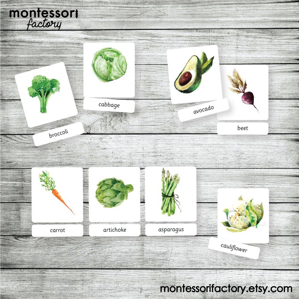 VEGETABLES Montessori Cards Flash Cards Three Part Cards | Etsy