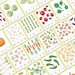 COUNTING VEGETABLES Numbers 1 to 20 • Montessori Counting Cards • Clip ...