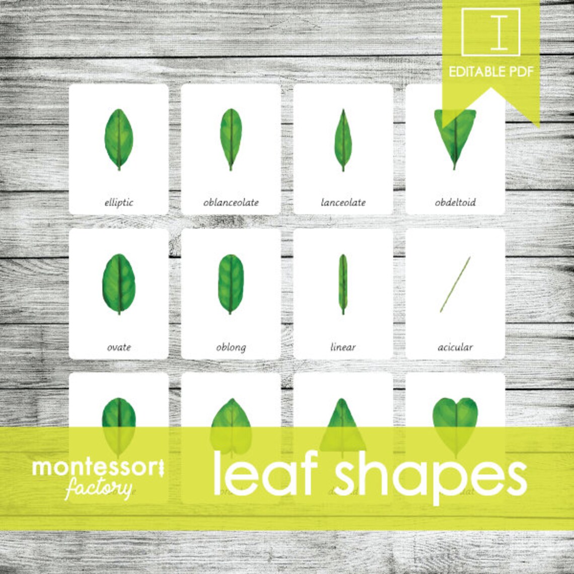 LEAF SHAPES Montessori Cards Flash Cards Three Part | Etsy